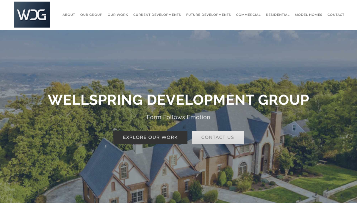 Wellspring Development Group - Erin Terpstra | Web & Graphic Design